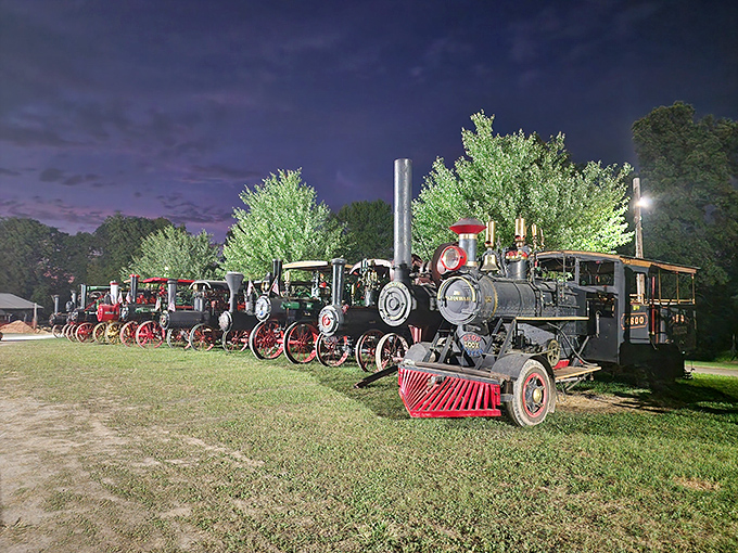 Steam-powered dreams line up under twilight skies. These magnificent iron workhorses tell Pennsylvania's industrial story better than any history book ever could.