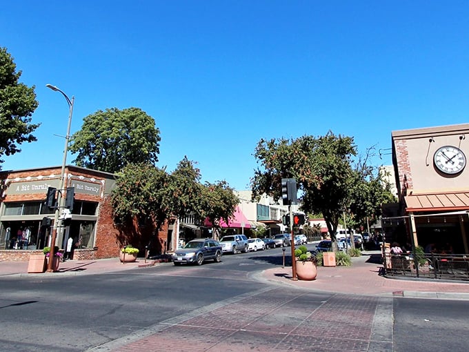Chico's tree-lined downtown streets offer shade, charm, and plenty of local shops where your retirement dollars stretch further.