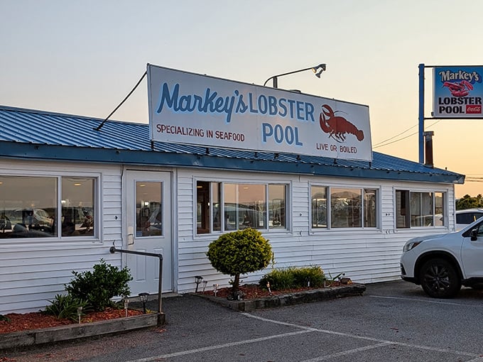 Markey's Lobster Pool stands ready for action, where the blue roof matches the ocean and the seafood is always the star.