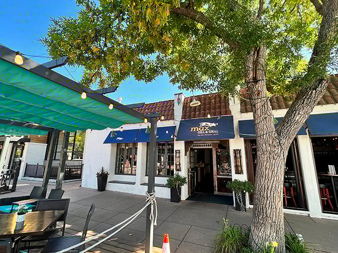 Max Gill & Grill's charming patio, where seafood dreams and sunshine meet under the watchful eye of ancient trees.