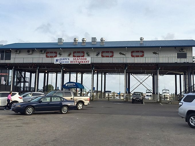 McElroy's proves the best seafood joints are often built on stilts, hovering over water like hungry pelicans.