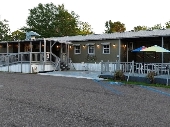 Mr. Fish's humble exterior is like that quiet friend who turns out to be the life of the party once dinner starts.