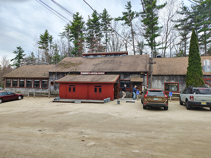 Parker's Maple Barn stands proud against the New Hampshire sky. This weathered wooden time machine has been turning sap into breakfast magic for generations.