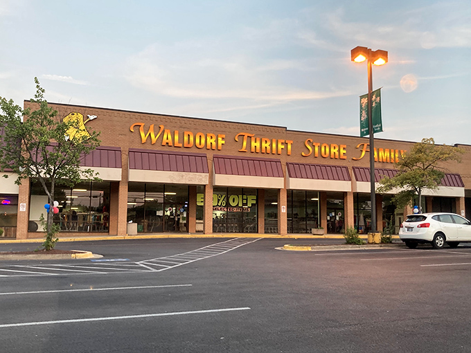 Prime Thrift's golden signage beckons bargain hunters like a retail lighthouse in a sea of full-price shopping.