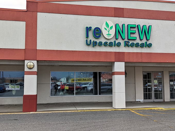 Renew's sleek storefront promises upscale finds without the upscale prices. Second chances never looked so good!