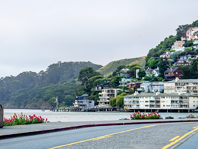 Sausalito's waterfront sparkles like a Mediterranean postcard dropped into Northern California's embrace.