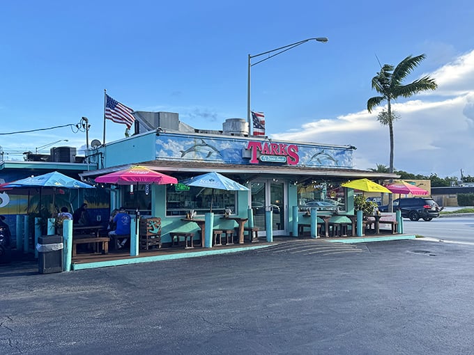 Tark's colorful umbrella oasis might be small, but like the best food memories, it's the flavor that takes up space.