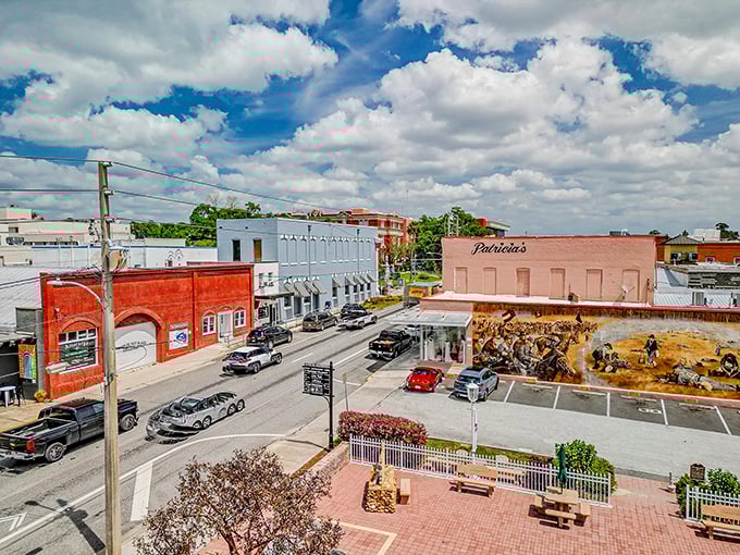 Downtown Brooksville proves Florida isn't all flat beaches—these rolling hills and brick buildings offer small-town charm with a side of actual elevation.