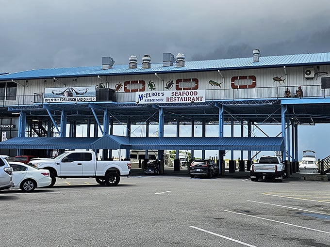 Perched above the harbor, McElroy's gives "fresh catch" a whole new meaning—watch your dinner arrive by boat!