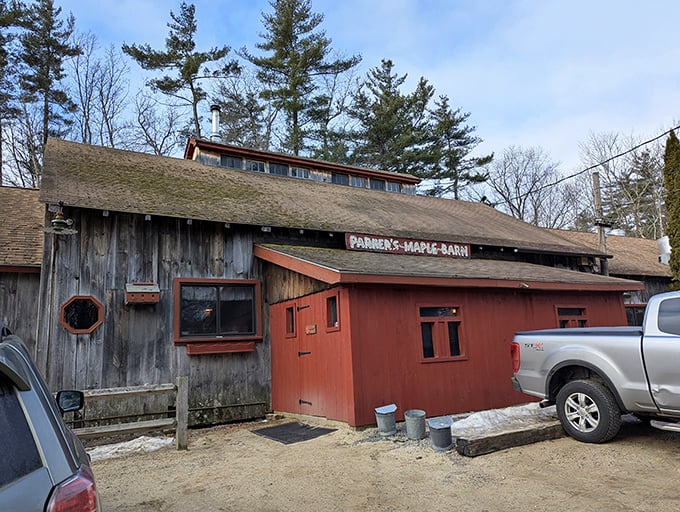 Parker's Maple Barn stands rustic and inviting against tall pines, promising sweet maple treats inside.