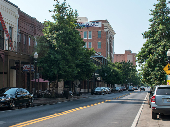 Downtown Pensacola's tree-lined streets showcase historic architecture and small businesses where locals still greet you by name.