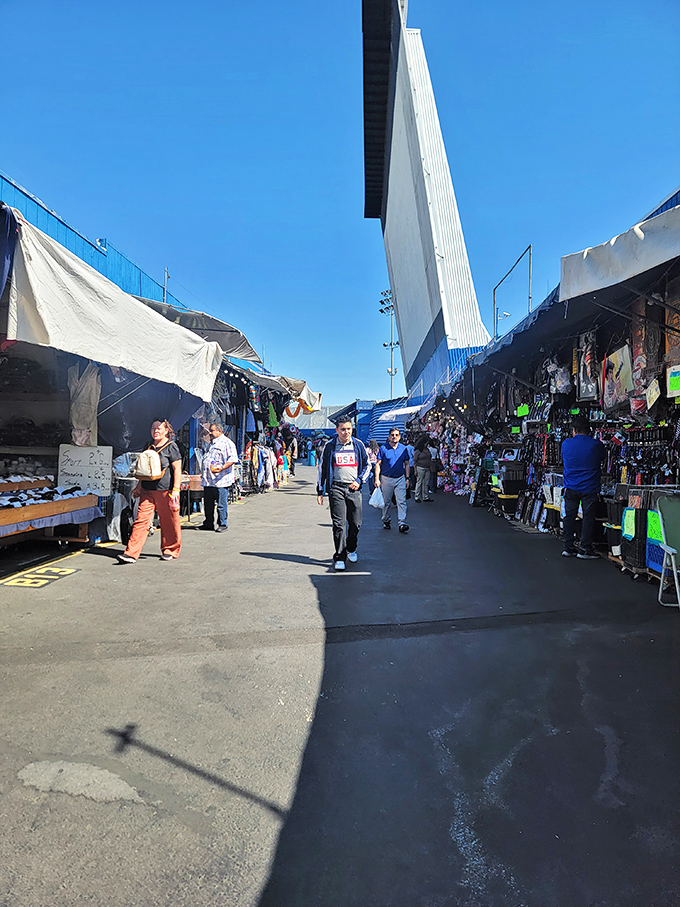 Where shoppers become explorers. The bustling pathways of Santa Fe Springs Swap Meet lead to countless discoveries.