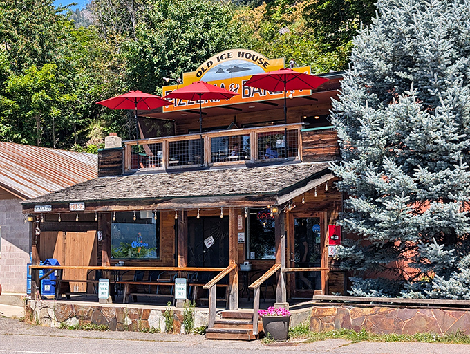 Enjoying the rustic charm and sunny patio vibe at this cozy spot in the beautiful Idaho mountains.