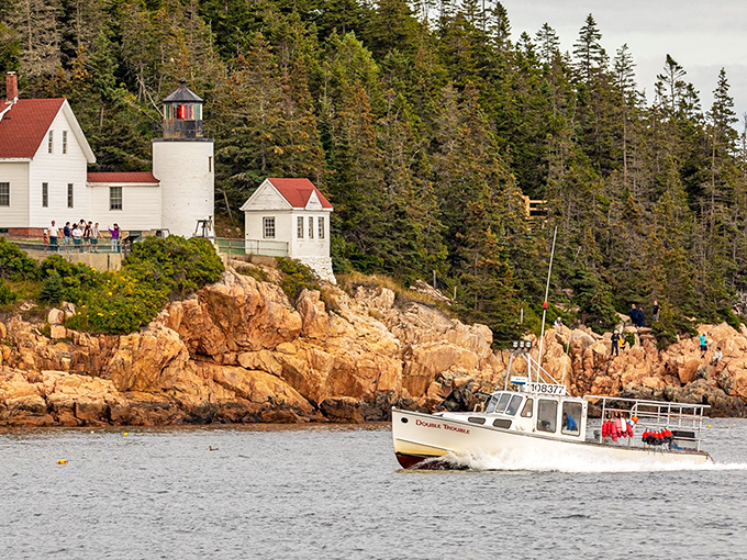 The lighthouse stands sentinel on rocky shores, a postcard-perfect scene that's been guiding sailors and Instagram influencers with equal reliability.