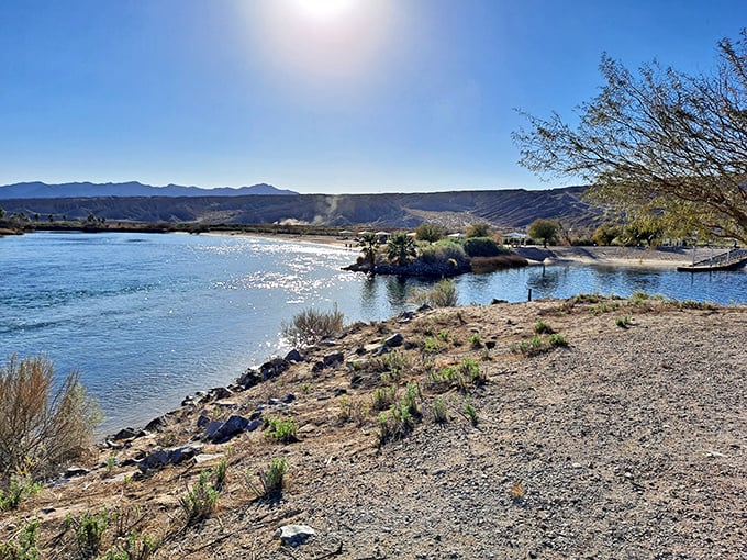The Colorado River's gentle curves create peaceful coves and inlets, perfect for contemplating life or just enjoying not being at work.