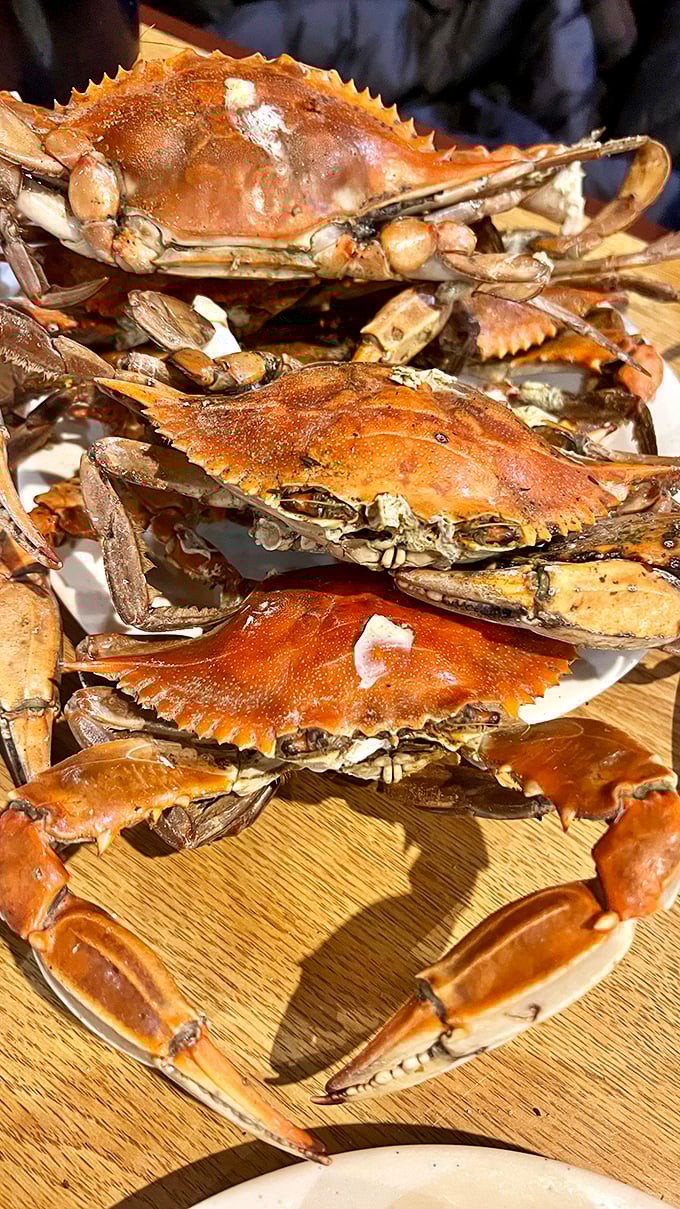 Maryland's famous blue crabs, stacked like delicious poker chips where everyone's a winner. No Old Bay required&mdash;they're perfect as is!