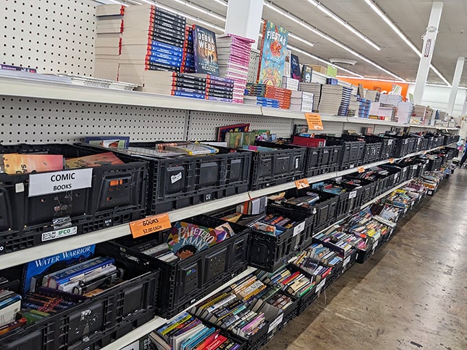 Literary treasures await in these black bins&mdash;like a library sale that forgot to charge library prices.