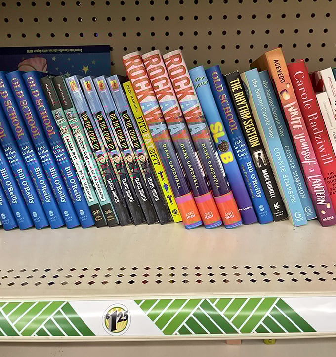 Who knew literary adventures could be so affordable? Dollar Tree's book selection proves you don't need to break the bank for a good read.