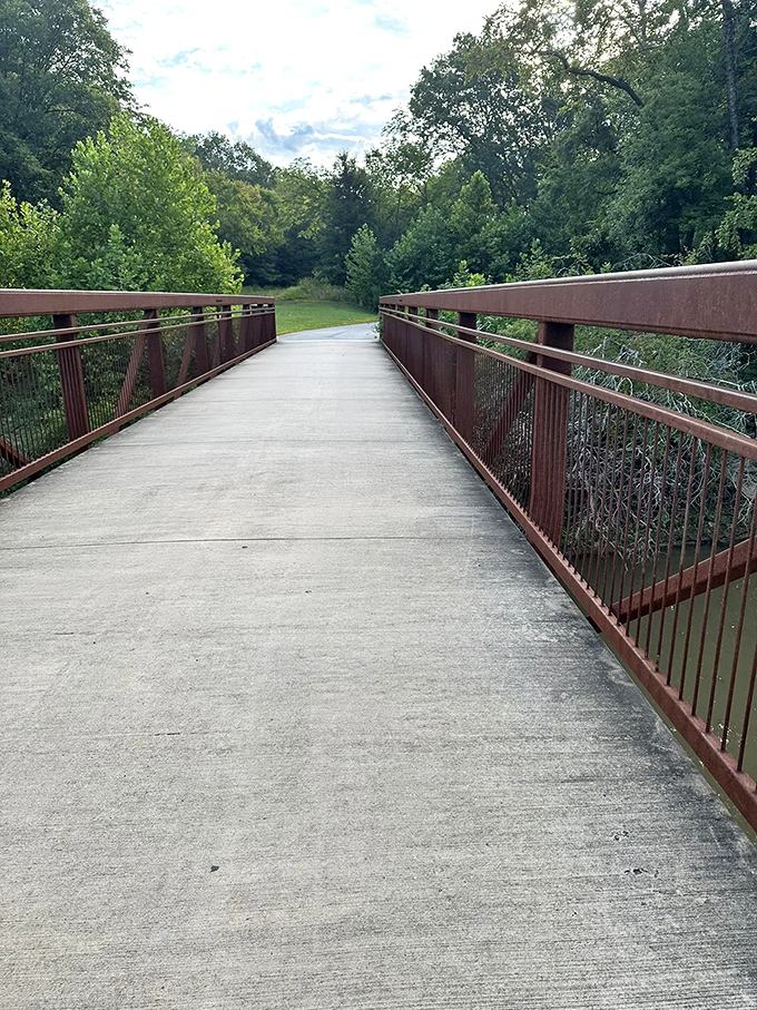 Not all who wander are lost, especially on this well-maintained bridge. The perfect pathway connecting civilization to Emerald Park's wild heart.