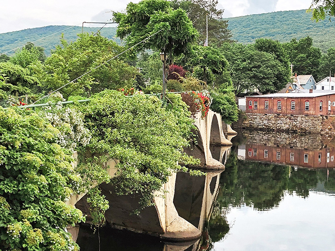 Nature doesn't just surround Shelburne Falls &ndash; it climbs right onto the infrastructure, turning concrete into canvas with a green thumb's touch.
