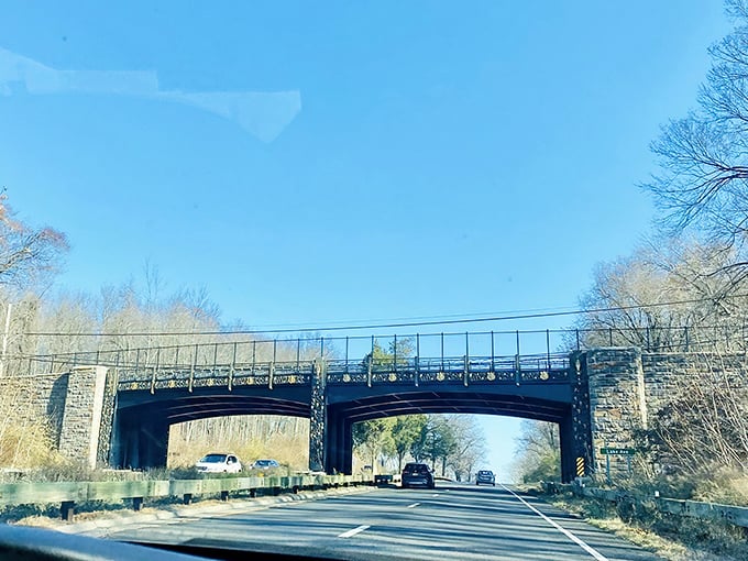 These aren't just bridges; they're architectural time machines. Each one tells a different story as you cruise beneath history.