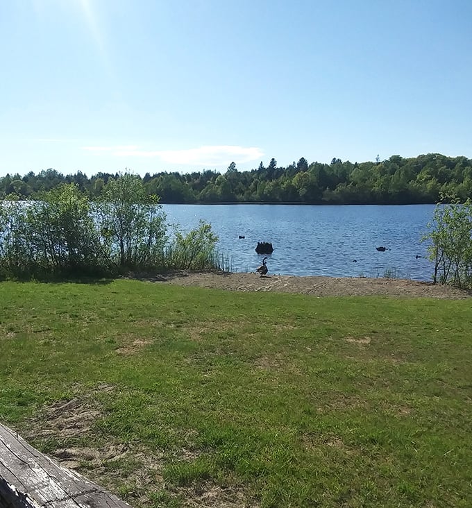 Calumet Lions Park offers peaceful lakeside moments where fishing poles and daydreams work in perfect harmony together.