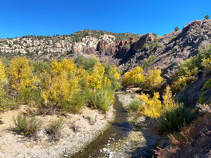 Nature's autumn palette on full display. Golden cottonwoods frame this meandering stream, creating a scene Bob Ross would have called "a happy little accident."