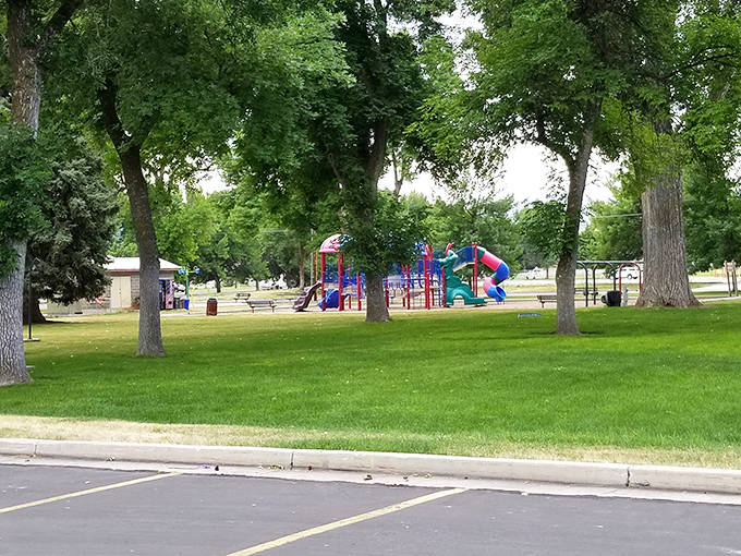 Town parks where kids still play outside instead of texting about playing outside&mdash;a revolutionary concept in today's digital world.