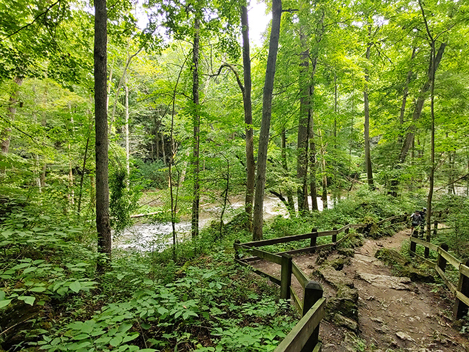Nature's masterpiece: Clifton Gorge Preserve showcases the Little Miami River carving through ancient limestone, creating a Midwest Grand Canyon in miniature.