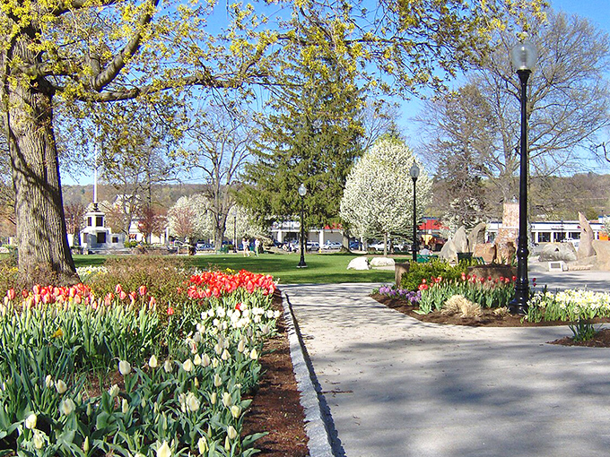Coe Memorial Park bursts with tulips each spring, offering retirees free admission to nature's art show while the grandkids are still stuck in school.