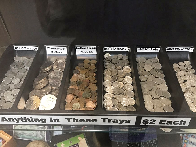 Numismatist heaven! These trays of historic coins aren't just currency &ndash; they're tangible time capsules of American history.