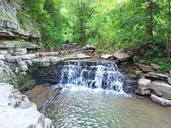 Nature's own waterfall spa at Cove Spring Park – where the soothing sounds of cascading water make you forget retirement planning ever existed.