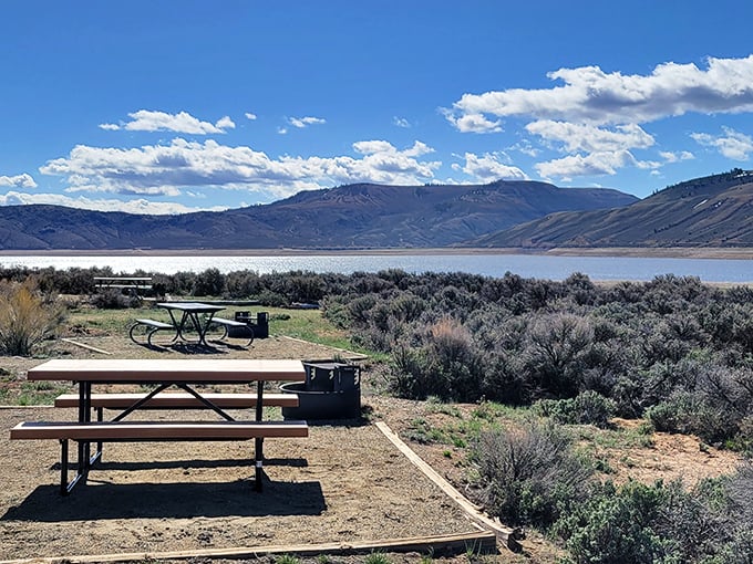 Blue Mesa Reservoir's shoreline offers million-dollar views with picnic spots that cost absolutely nothing &ndash; nature's version of the best value meal.