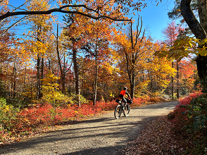 Fall's greatest hits album, now available on two wheels. The carriage roads offer front-row seats to nature's most spectacular color show.