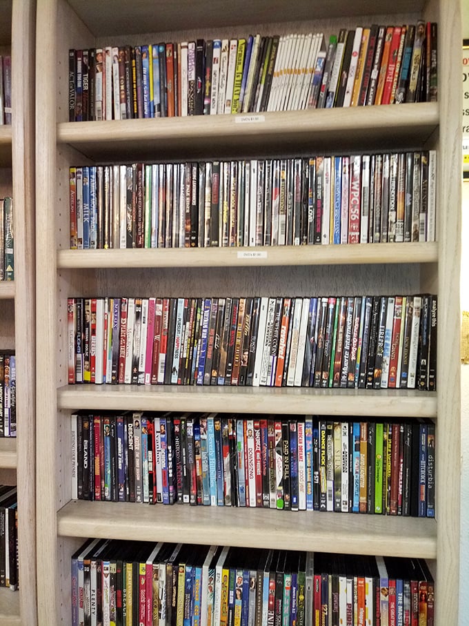 A DVD collector's dream come true! Enough movies to survive both retirement and the apocalypse, all organized with librarian-level precision.