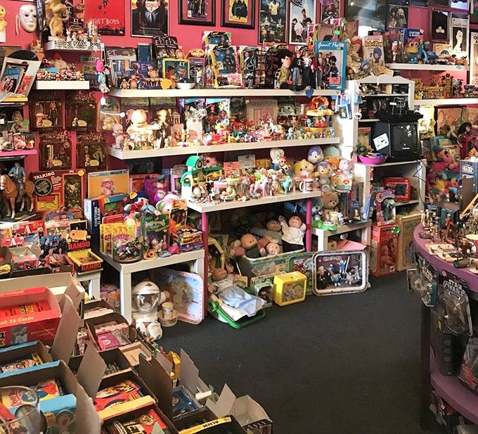 Shelves upon shelves of childhood memories, arranged with the chaotic perfection of a kid's bedroom circa 1987.