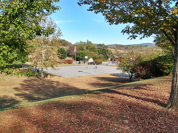 Fall's golden touch transforms this park into nature's gallery, where mountain views frame everyday moments of small-town tranquility.