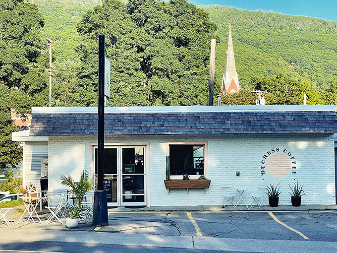 Duchess Coffee's baby-blue exterior promises a caffeine sanctuary where locals debate the merits of maple lattes versus traditional espresso.