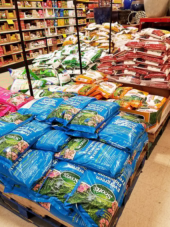 Garden dreams stack up in colorful bags. Spring's possibilities pile high in this corner of Ollie's, where green thumbs get giddy over discount dirt.