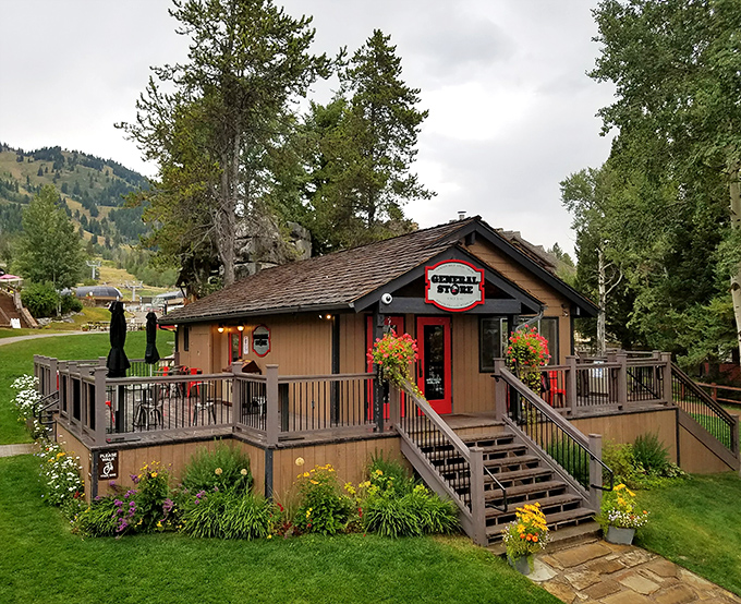 The General Store sits ready to fuel your forest adventures with supplies, snacks, and that essential last-minute gear.