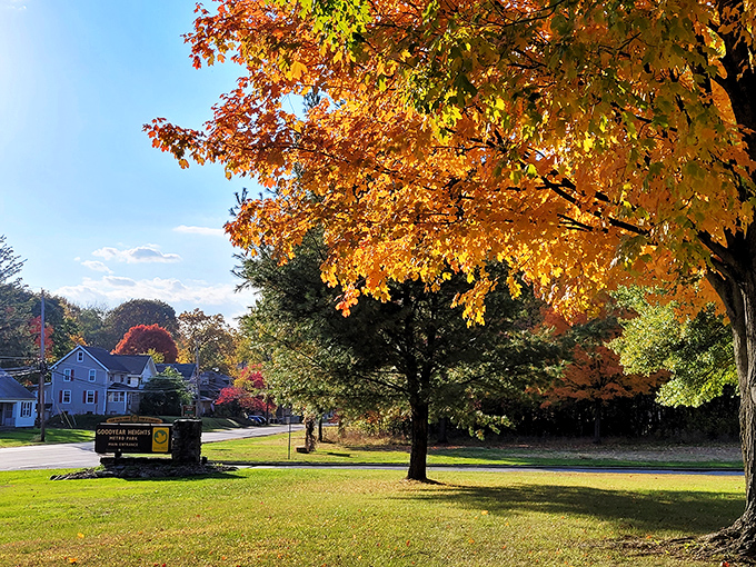Fall in Akron transforms neighborhoods into nature's art galleries. The best part? This seasonal show runs without a cover charge.