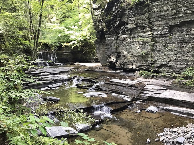 These layered rock formations tell Earth's story one sedimentary chapter at a time. Geology has never looked so Instagram-worthy.