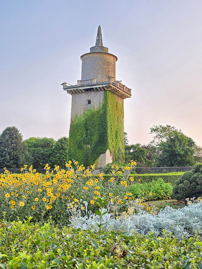 Part fairy tale, part engineering marvel, this ivy-covered water tower transforms the practical into the magical at every sunset.