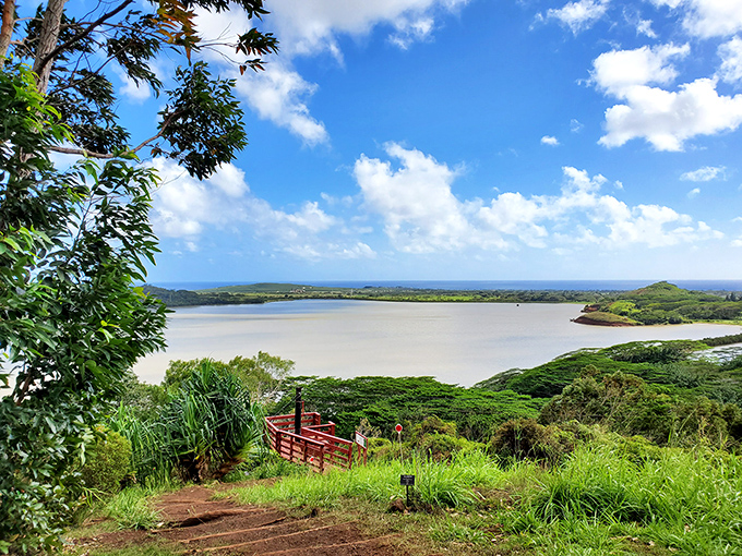 Nature's infinity pool: where lush Hawaiian greenery meets tranquil waters, creating the kind of view that makes smartphone cameras seem woefully inadequate.