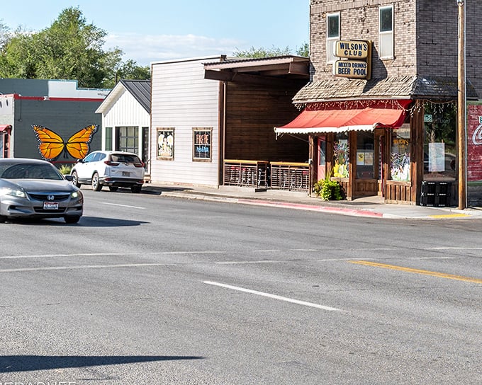 Wilson's Club stands as Main Street's beating heart, where the neon beer sign has likely witnessed more local stories than any history book.