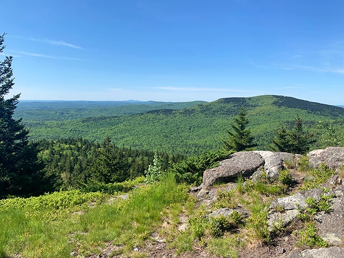 The view from Pack Monadnock rewards hikers with a tapestry of green rolling into forever. Worth every step of the climb!