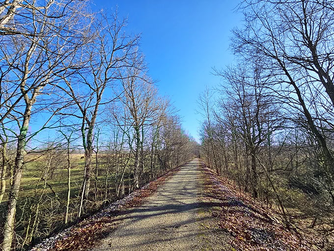 The Milwaukee Trail offers nature's therapy session without the hourly rate. Walking here feels like stepping into a Bob Ross painting come to life.