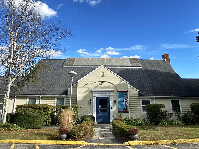 The Mystic Museum of Art offers a peaceful retreat where creativity flows as steadily as the nearby Mystic River.