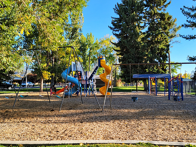 City Park's playground equipment promises the kind of old-school fun that doesn't require charging cables or software updates.