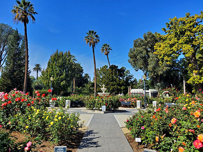 Stately palm trees stand guard along this inviting pathway, where every turn promises new floral discoveries and fragrant surprises.